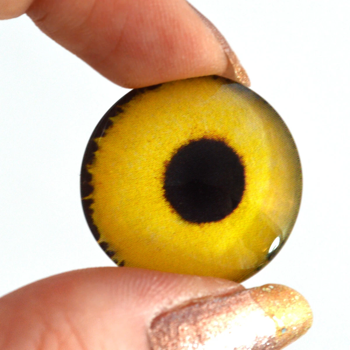 Yellow S Hawk Eyes