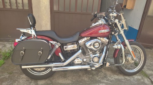 Bag Kit 30L Leather Quick Release and Key and Frames for Harley ...