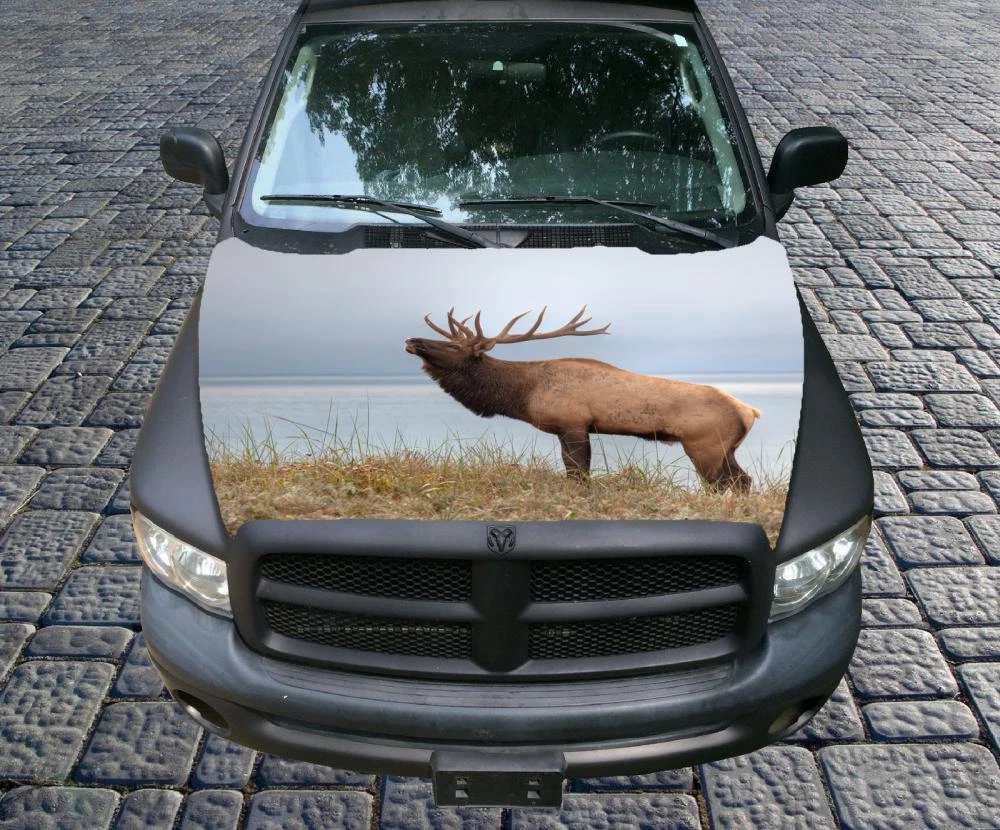 Bugling Bull Elk Decals