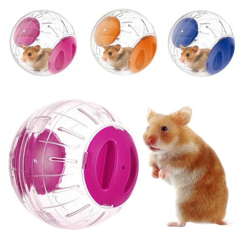 Mice Gerbil Rat Exercise Toy Training Toy Small Pet Play Hamster ...