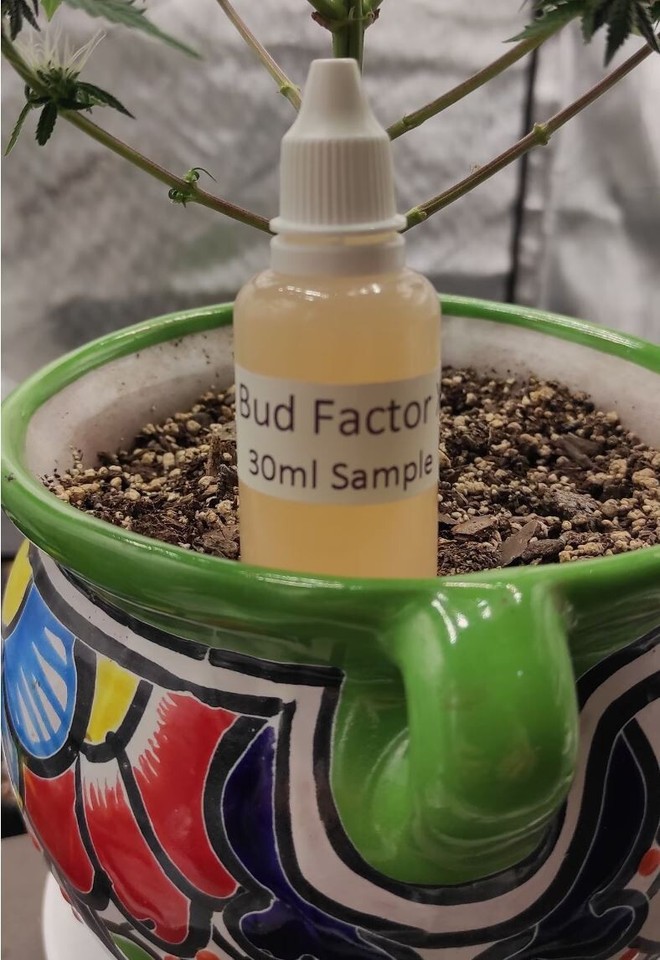 Bud Factor X Advanced Nutrients 1oz 30ml bottle sample tester 2024 New ...