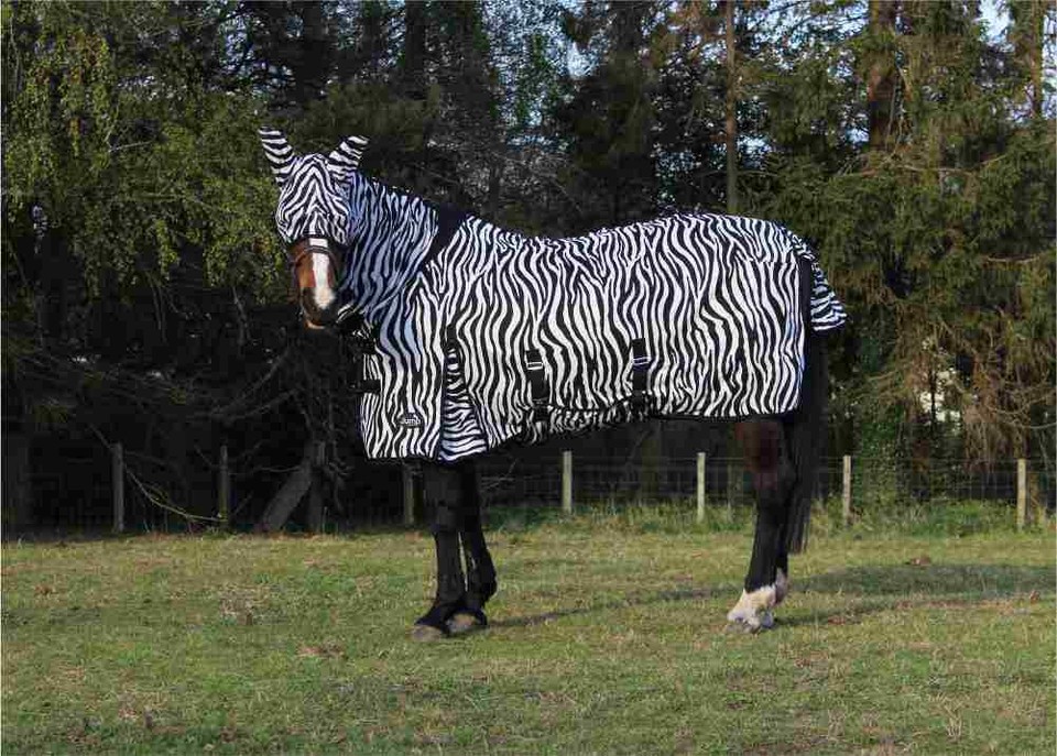 Zebra Fly Rug Horse Fly Rug Mesh With Free Fly Mask Horse Fly Rug All ...