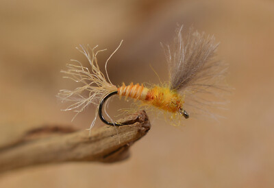 12 Flies CDC Comparadun Mayfly Dry Fly - Mustad Signature Fly Hooks | eBay
