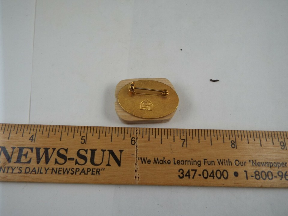 SOUTHERN POTTER SNOWMOBILE CLUB PENNSYLVANIA LAPEL PIN | eBay