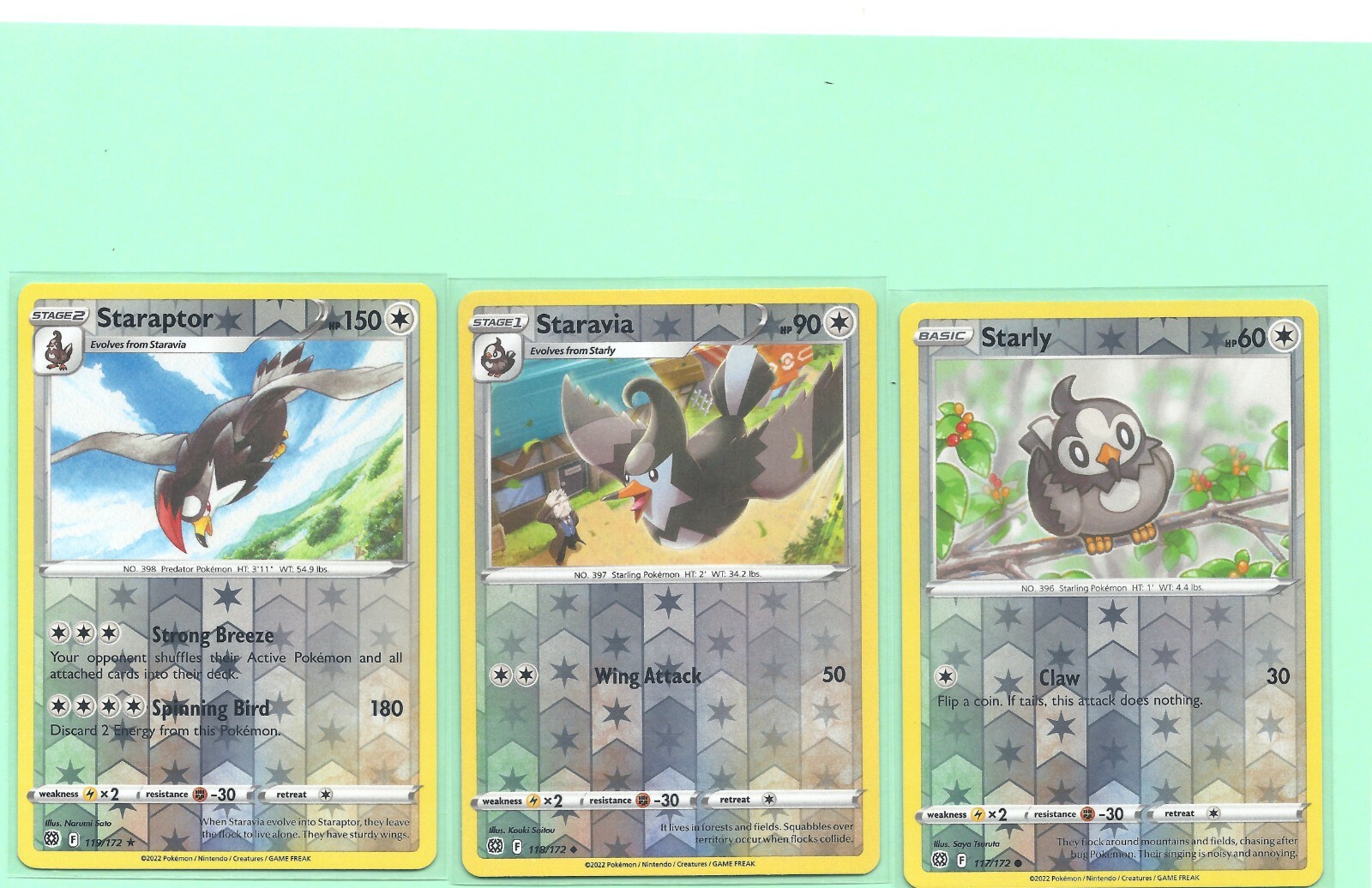Staravia Evolution