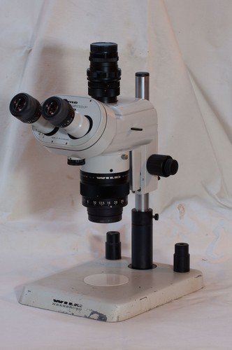 Wild Heerbrugg M420 Macroscope for sale online | eBay