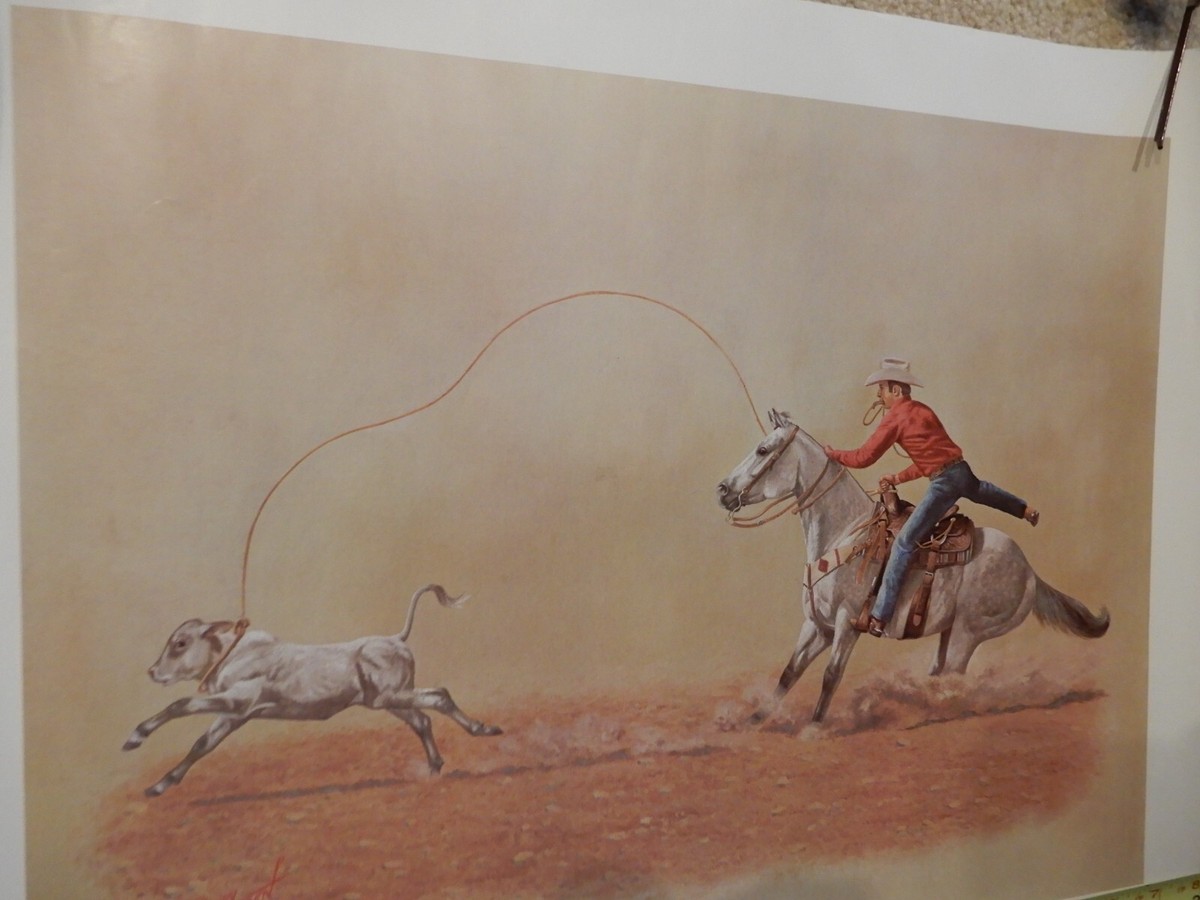 Calf Roping Drawings Bob Hills Calf Roping Art