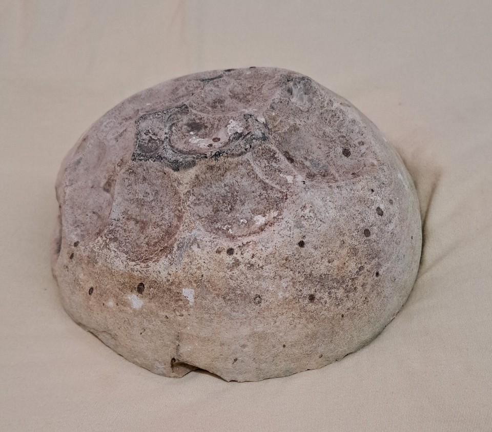 Unique Cut Flint Concretion Style Rock | eBay
