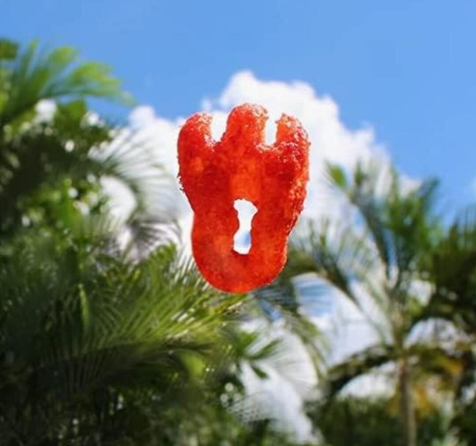 Assorted Holiday Big Foot, Cheese Snack 6 Regular and 6 Spicy (25g) | eBay