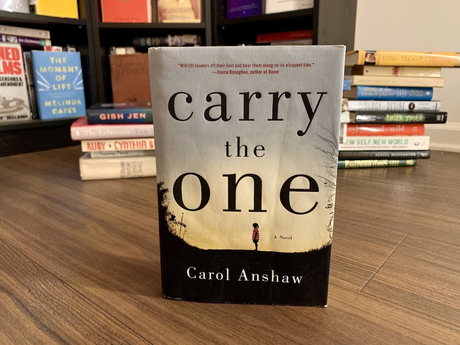 Carry the One: A Novel by Carol Anshaw (2012, Hardcover) 9781451636888 ...