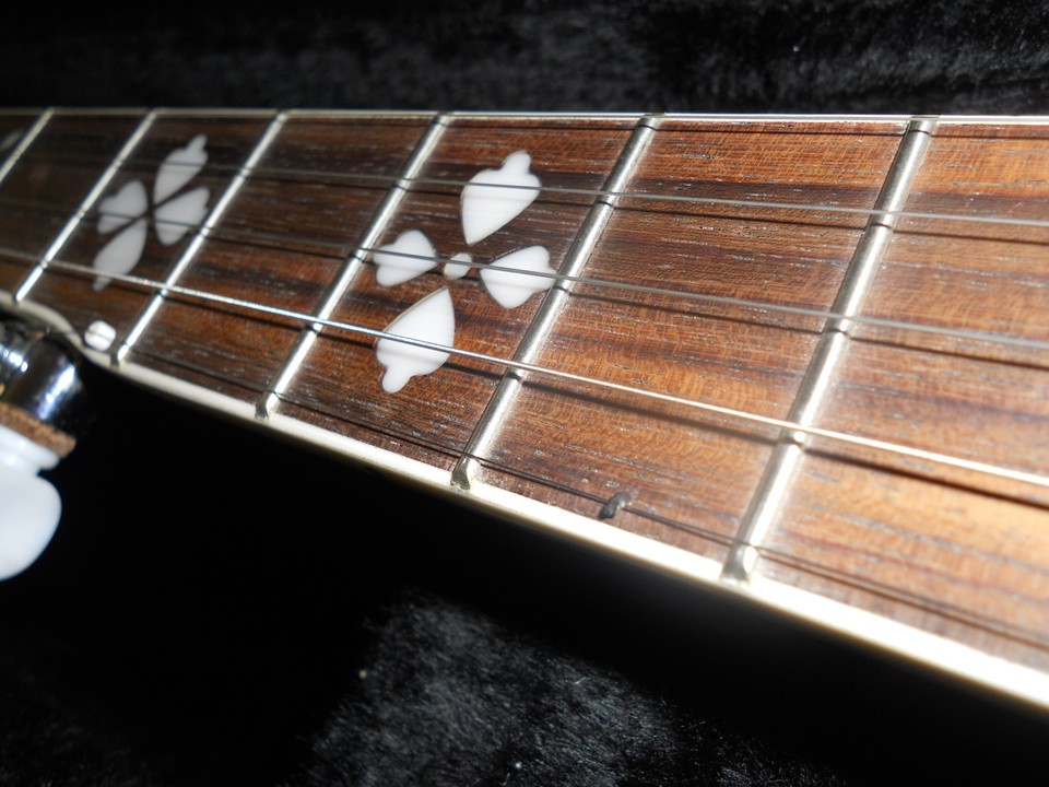 BANJO RAILROAD SPIKES (6) + DRILL + FITTING GUIDE TO CAPO 5TH STRING ...