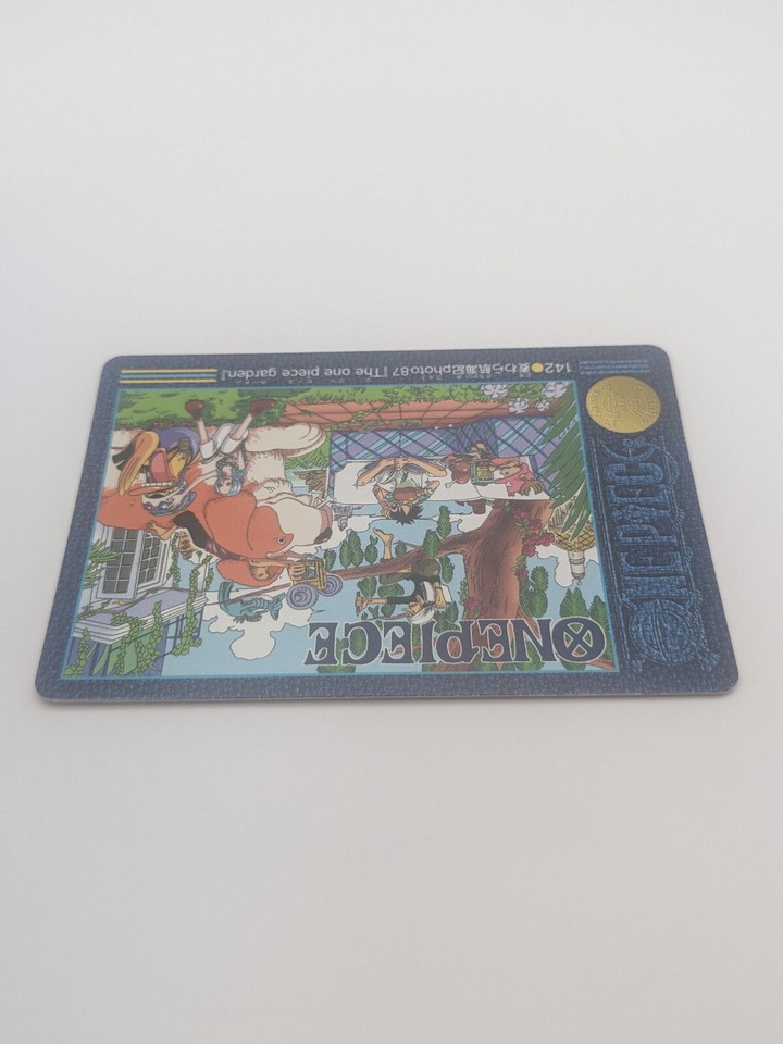 Luffy Chopper Vivi One Piece 142 Visual Adventure Carddass frontispiece ...