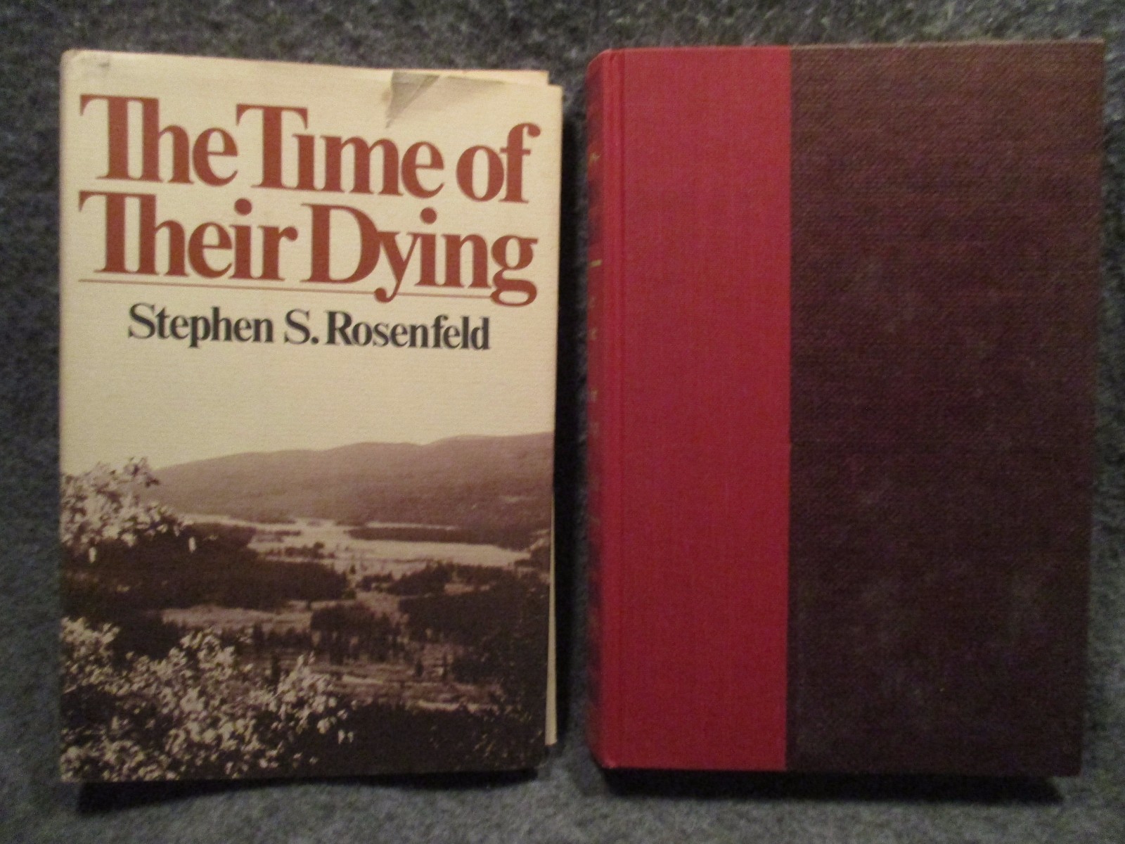 Time Of Their Dying Stephen Rosenfeld Rosary Sidney 1977 Vintage ...