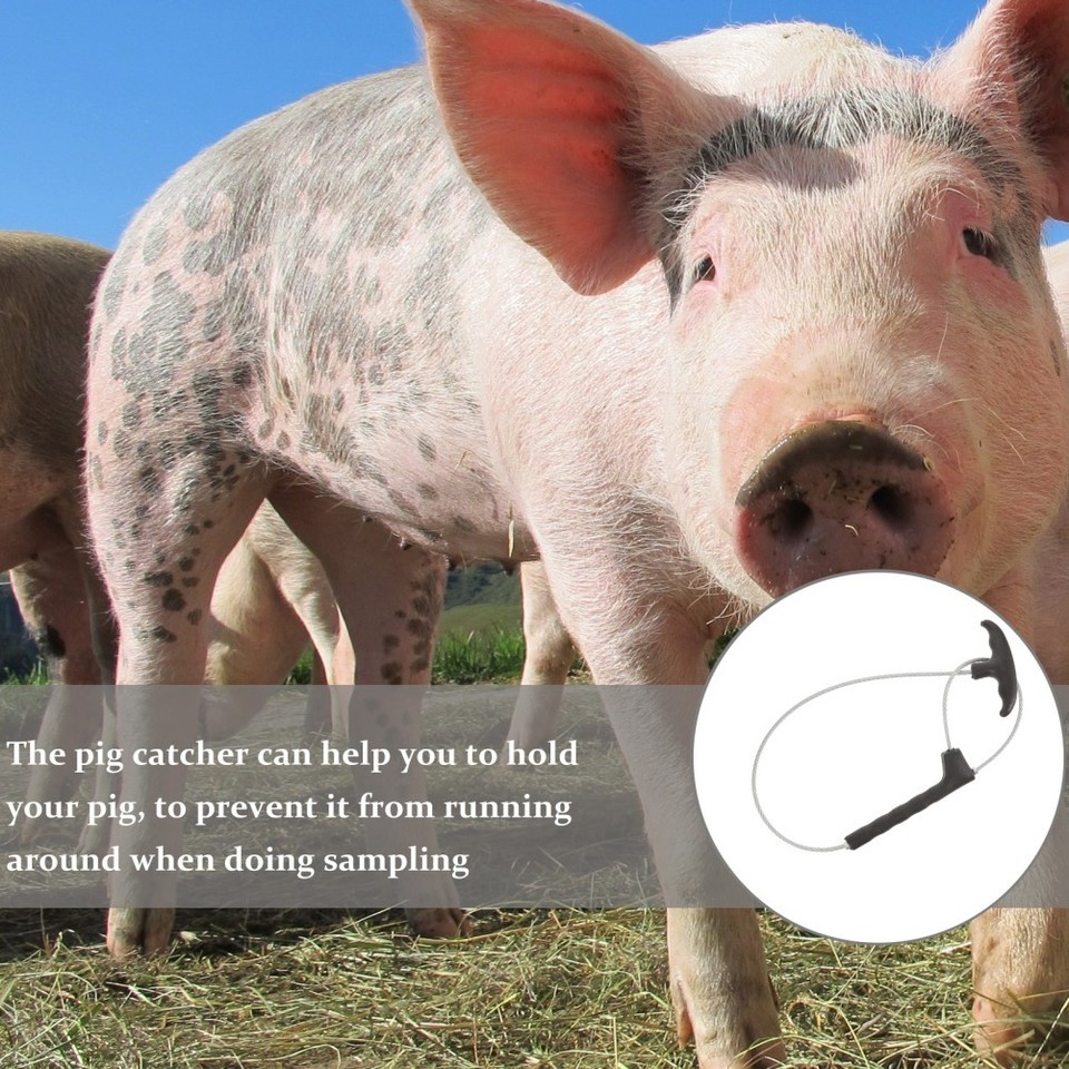 Multifunctional Wire Livestock Catcher With Handle Pig Holder Catcher ...