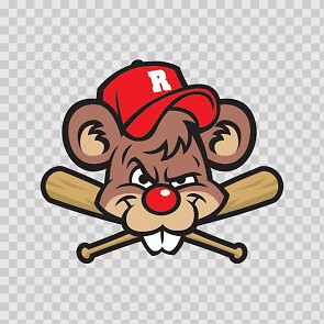 Region Rat Collectibles | eBay Stores