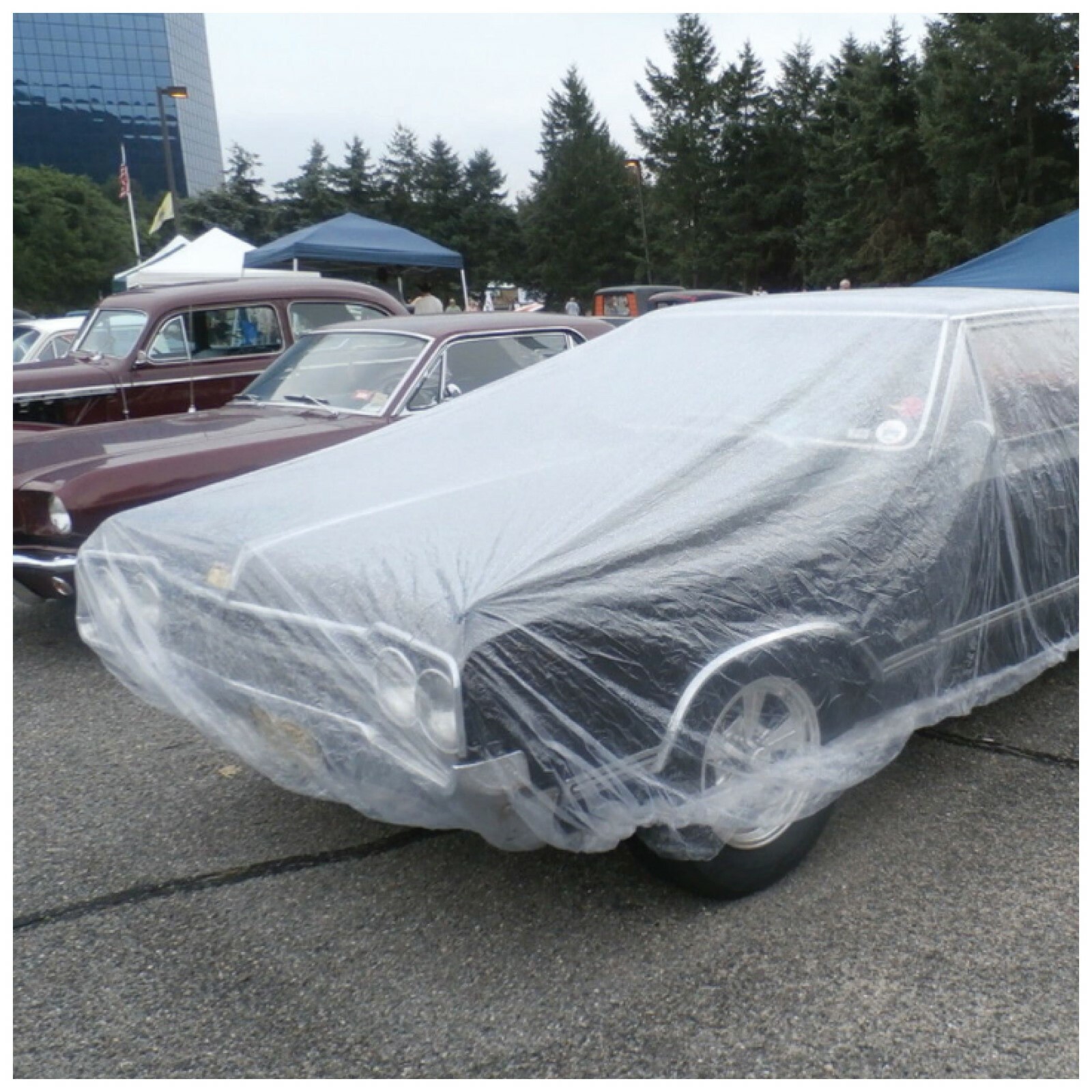 5 PACK Clear Plastic Disposable Car Cover Temporary Universal Rain Dust ...