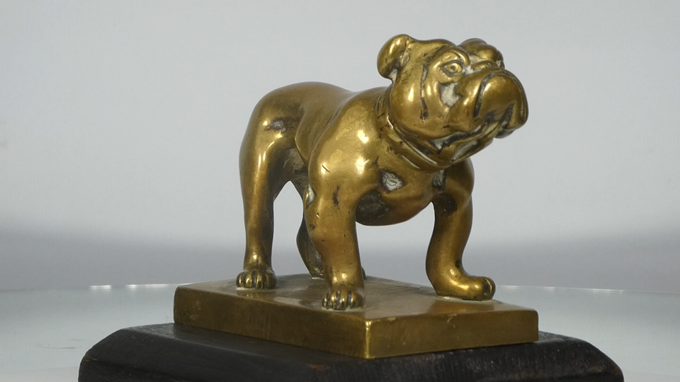 Antique Polished Bronze Brass Bulldog Car Mascot Radiator Hood Ornament ...