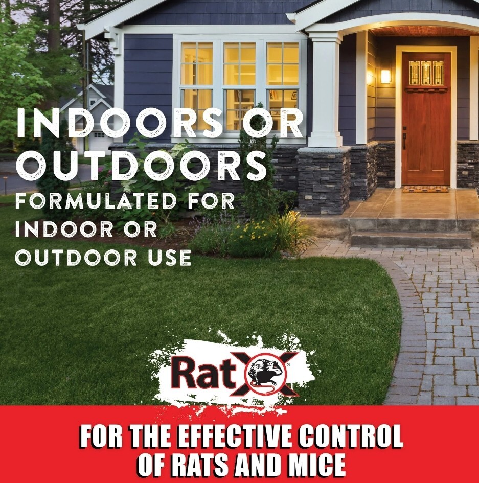 RatX 2 Pk Ready-to-Use Rat Bait Trays. Effective on All Species of Rats ...