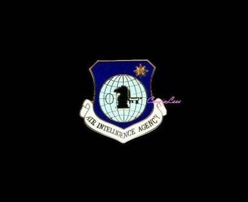 USAF Intel Agency Shield + a custom promo pin | eBay