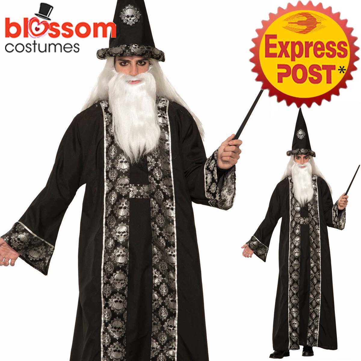 Evil Wizard Costume
