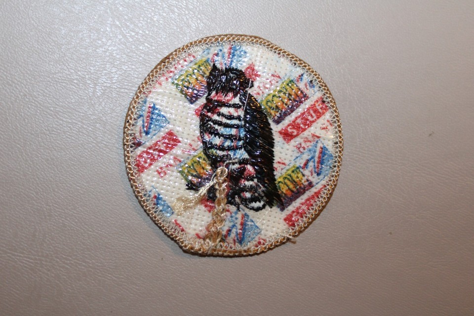 Falcon Patrol Emblem Boy Scouts of America BSA Patch | eBay