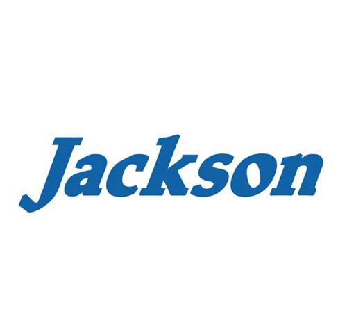 Jackson Quick Set Head Shad 14 grams Sinking Lure GOL/WHV (1588) | eBay