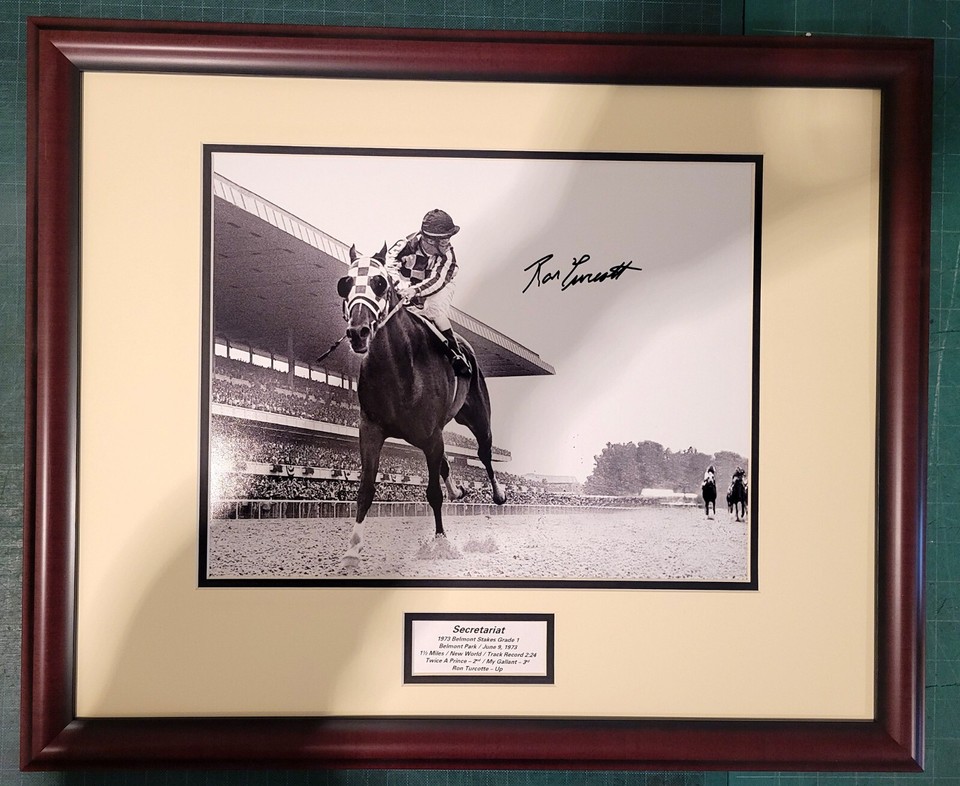 Secretariat Belmont Stakes Photo #3 11" x 14" | eBay