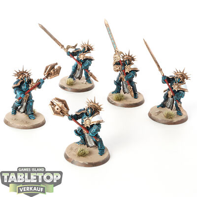 Stormcast Eternals - 5 x Protectors - bemalt | eBay.de