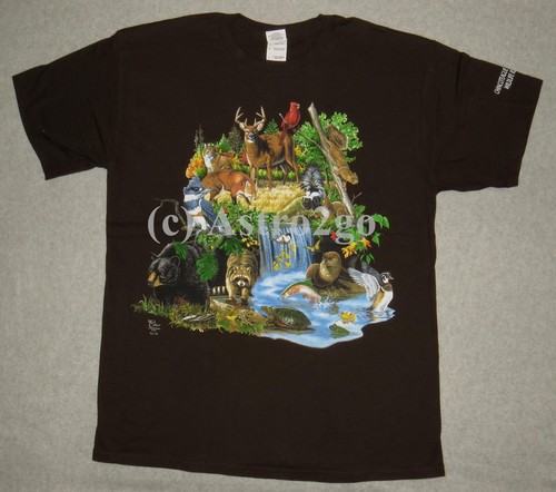 WOODLAND WILDLIFE-Science Nature Animals Habitat Ecosystem Ecology T ...