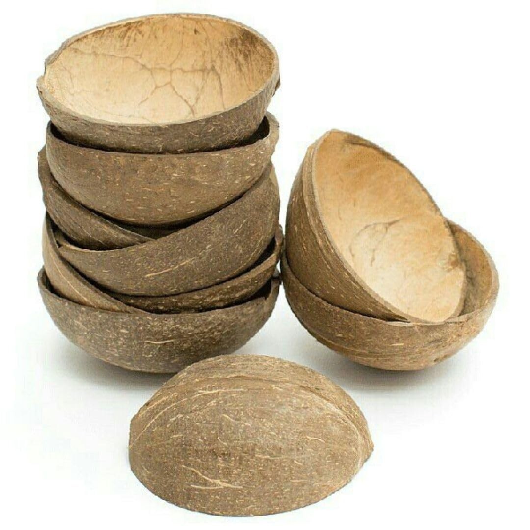 Natural Oval Coconut Shell Bowls - Set of 10, 150 ML, Perfect for ...