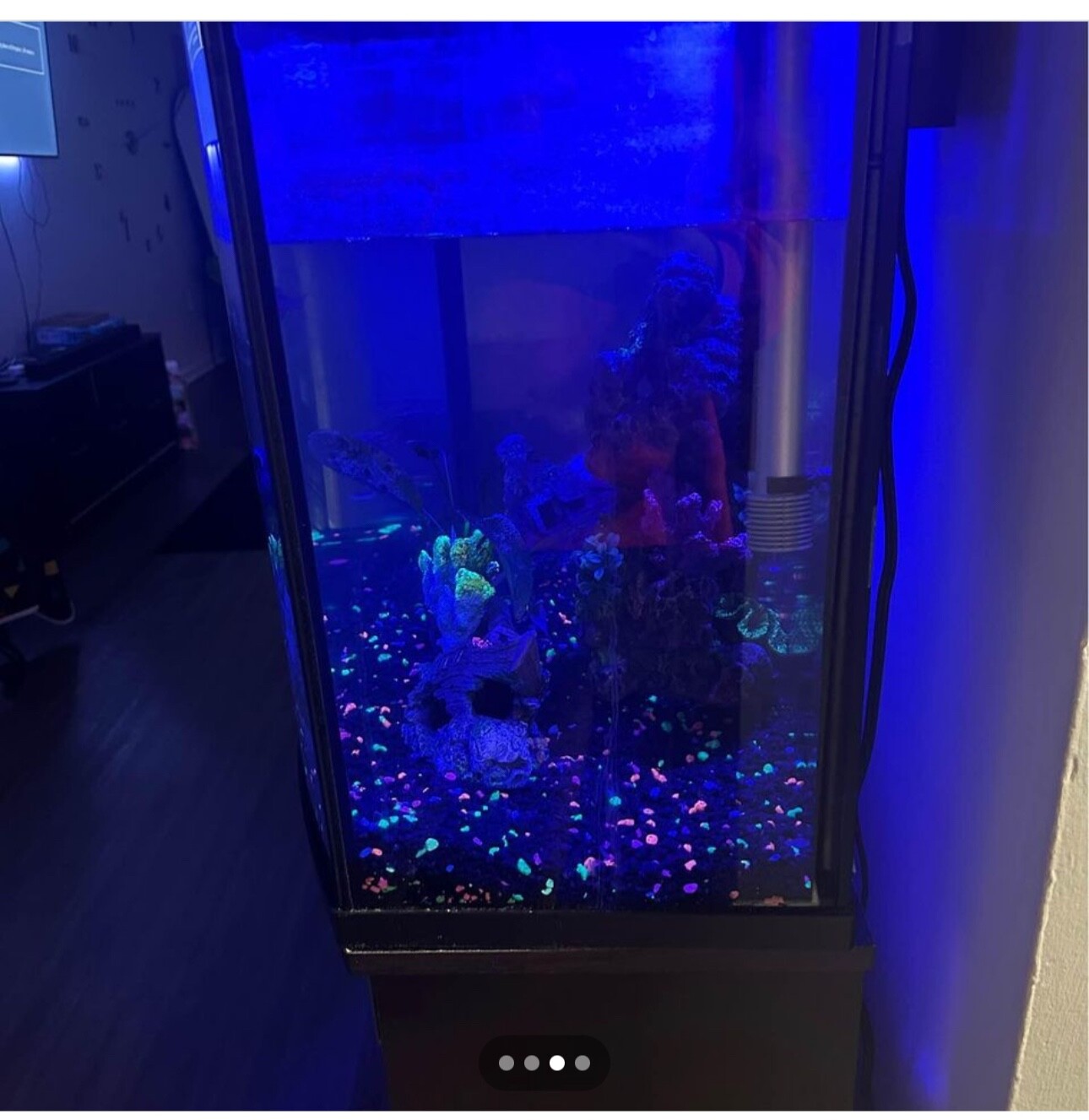 used fish tanks for sale near me | eBay