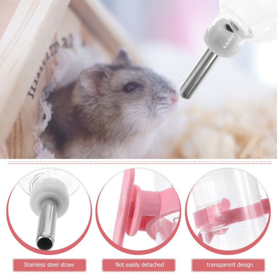 4Pcs Pink Pet Waterer Guinea Pig Bottle Drinker Rabbit Rat Feeder | eBay