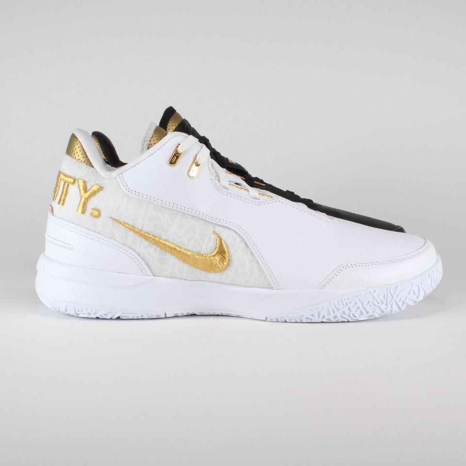 Nike Zoom Lebron NXXT Gen AMPD Equity Mismatch FJ1566-103 Men's Size 12 ...