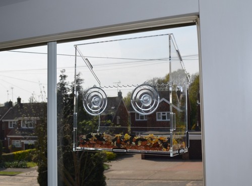 Bird Feeder Box Fat Ball, Peanut Seed Holder Clear Perspex Acrylic ...