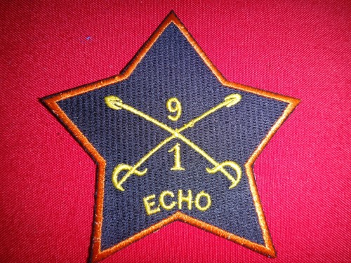 Vietnam War US 1st Squadron 9th Air Cavalry Regiment Troop E (ECHO ...