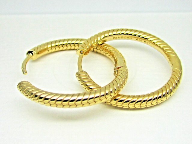 Authentic Pandora #269532C00 Pandora Moments Charm Hoop Earrings Shine ...