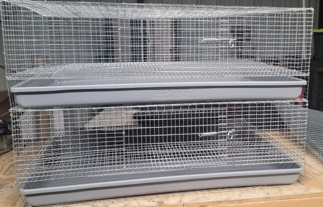 Quail Cage Size