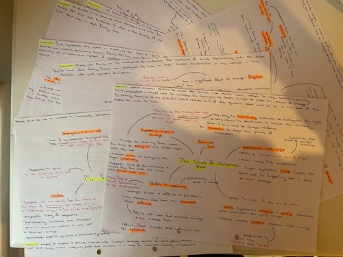 9 A Christmas Carol GCSE English Literature Revision Posters (A* ...