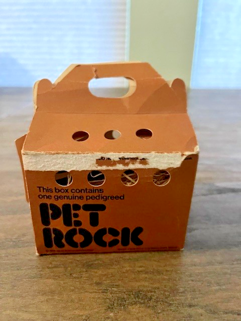 Vintage Original 1975 Pet Rock With Tote Box Booklet by Rock Bottom ...
