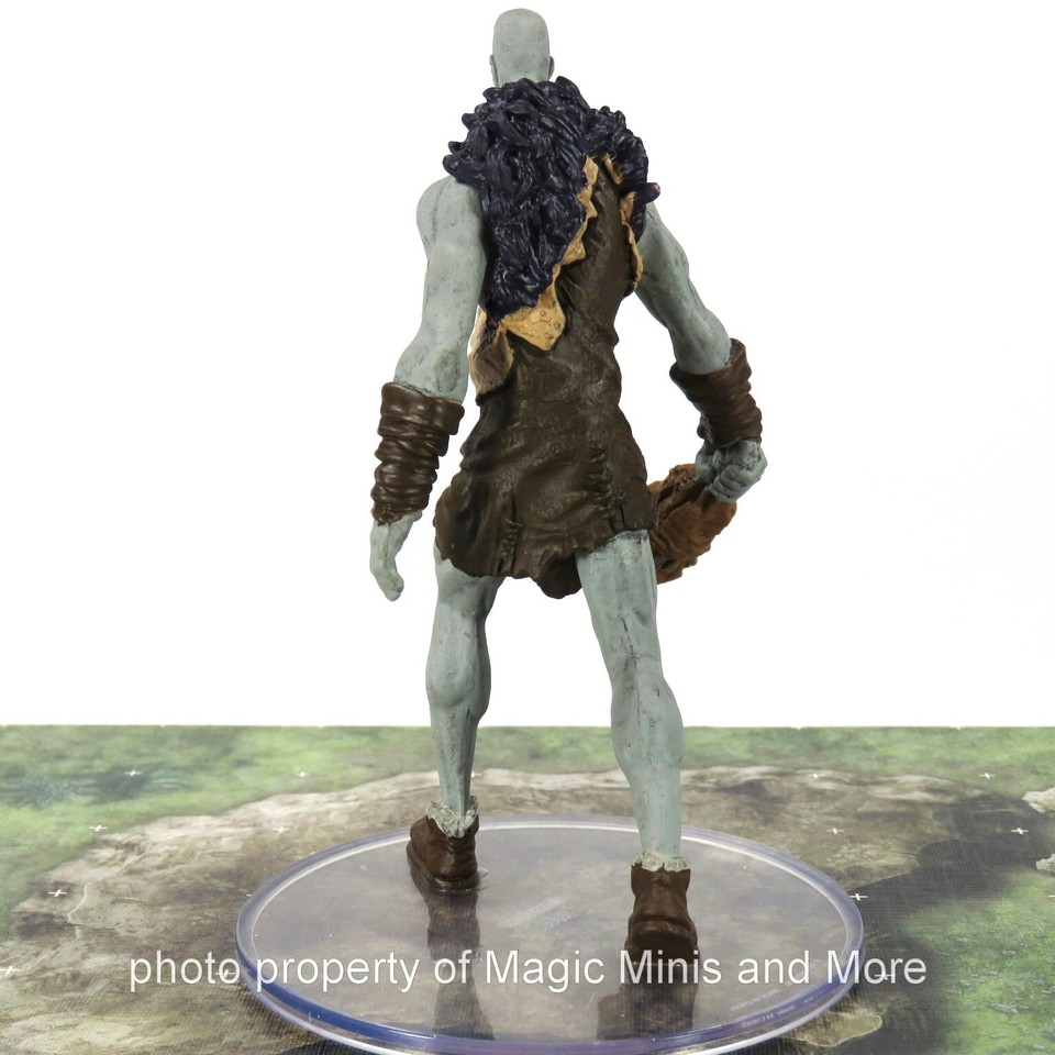 Return of the Dragons ~ STONE GIANT #26 D&D Icons of the Realms huge ...