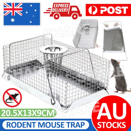 Rodent Mouse Trap – Top Entry Medium 20.5cm AU Trap Catch Humane Rat ...