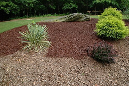 Cb0032 851612002032 2400 Sq. Ft. Cocoa Brown Mulch Color Concentrate ...