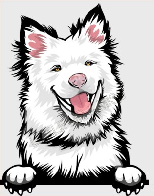 FINNISH LAPHUND Peeking Dog Breed Color Window Wall Laptop Sticker ...