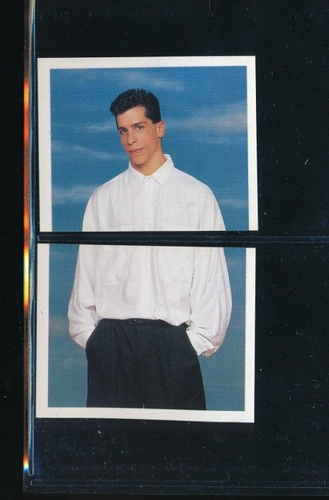 Lot (2) 1990 Diamond New Kids on the Block Stickers #61 62 Danny Wood ...