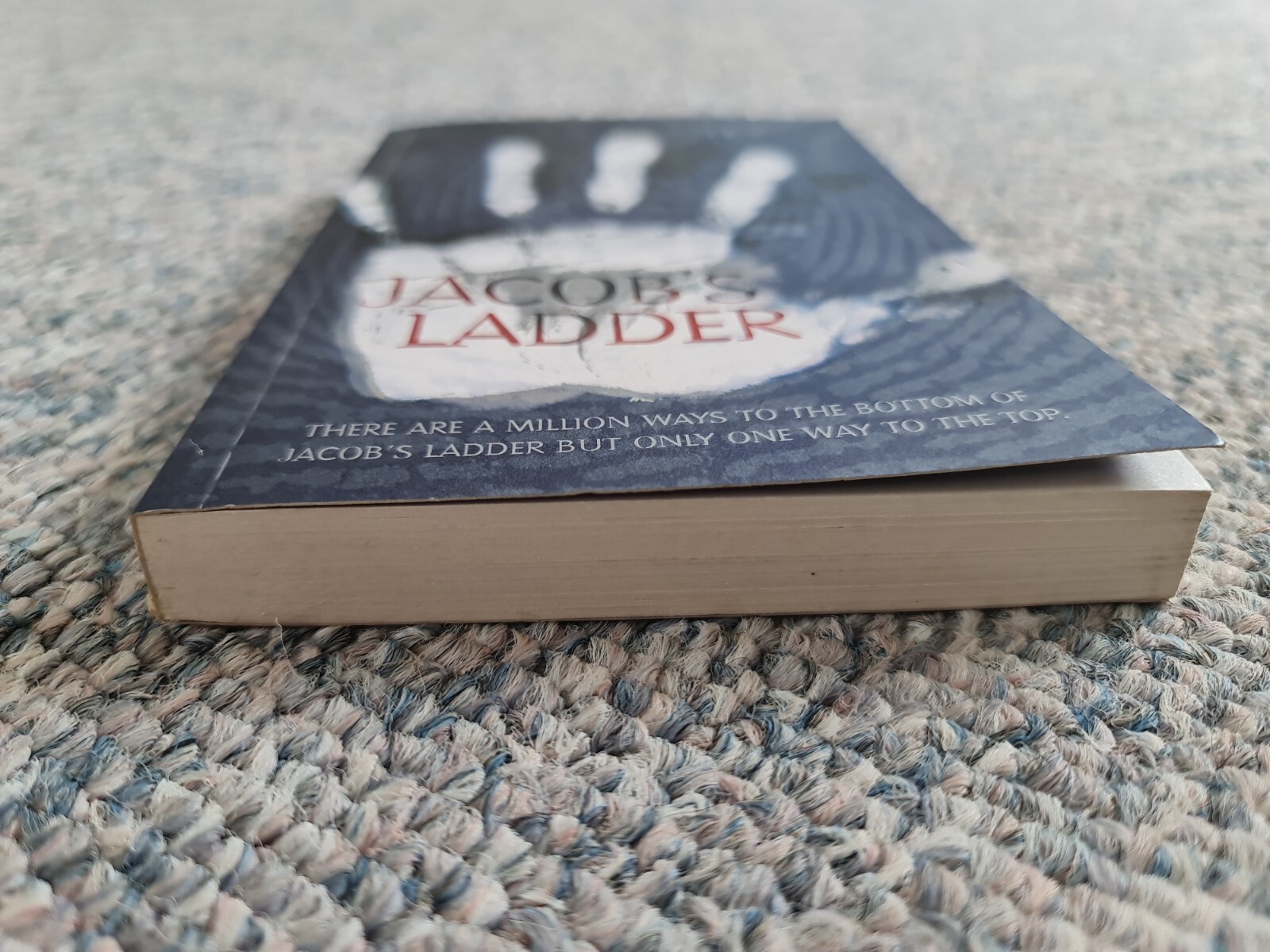 Jacob's Ladder by Brian Keaney (Paperback, 2006) | eBay Australia