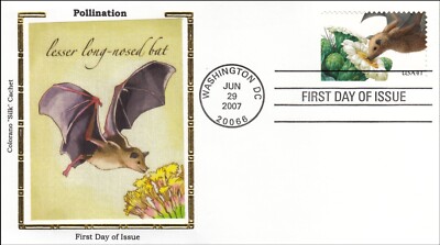 Bat Lesser Long-Nosed Bat Pollination Bats USA Colorano Silk Cachet FDC ...