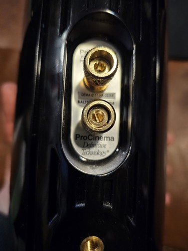 Definitive Technology ProMonitor 800 ProCinema Monitor/Speakers Set (2 ...