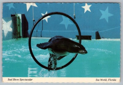 Postcard Orlando Florida Sea World Seal Show Spectacular | eBay