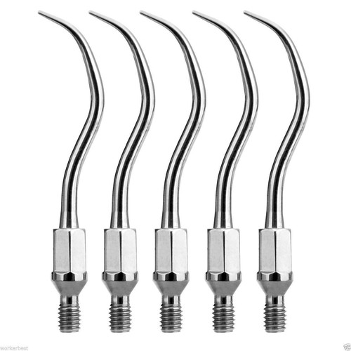 5 Dental Ultrasonic Multifunct ional Scaler Tip GK1 Fit KAVO SONICFLEX ...