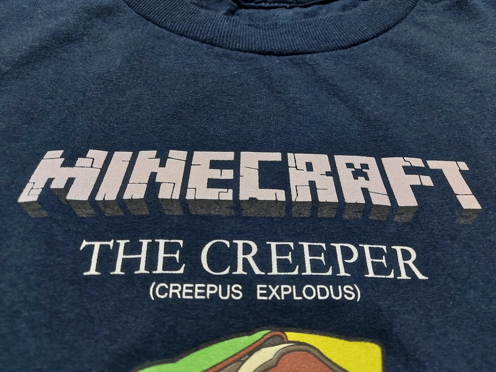 Minecraft The Creeper Anatomy Official Game Promo Moj… - Gem